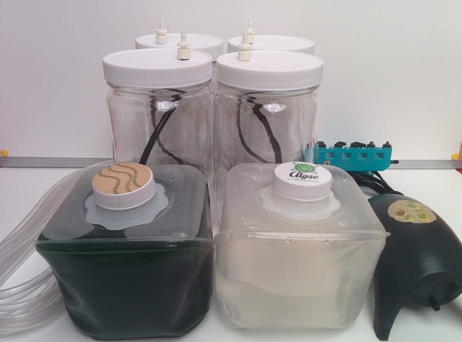 Algae Kits Now Available - Algae Analytics