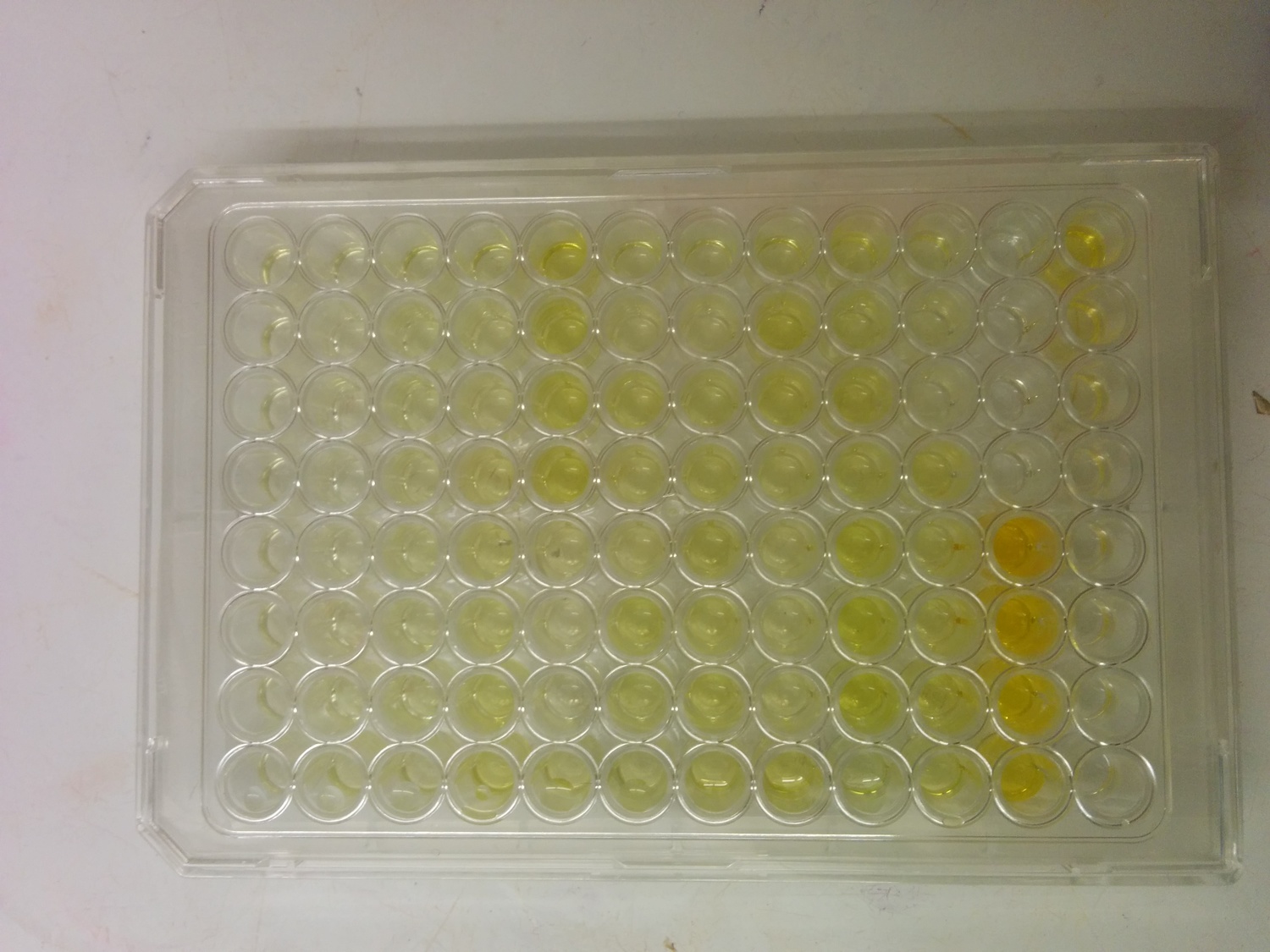 Bulk Carotenoids - Algae Analytics